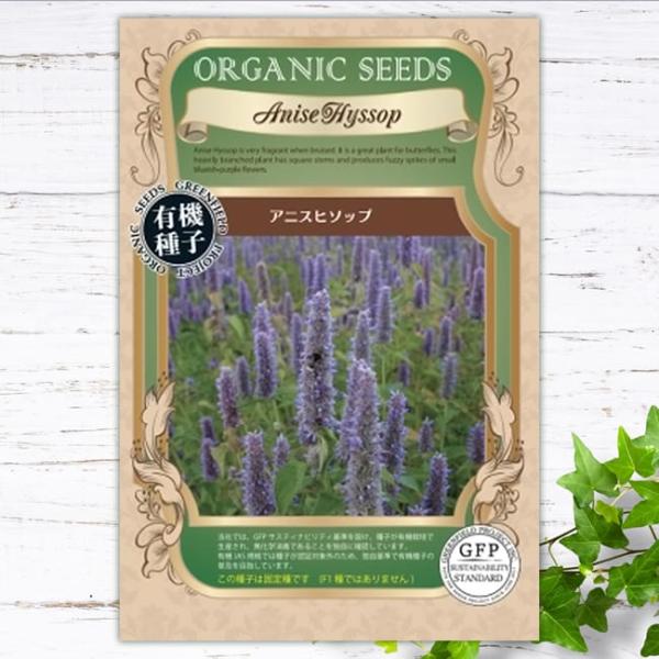 ●品種の特徴「アニスヒソップ」は英名が「Agastache foeniculum」とされることから、アガスターシェやフォエニクラムとも呼ばれることがあります。北アメリカ原産でハーブとしても利用される品種です。（フレッシュなハーブティーがお手...