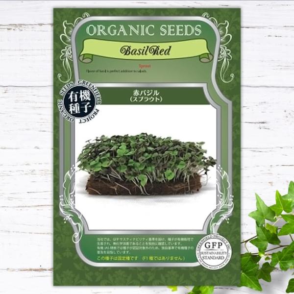●品種の特徴「赤バジル（スプラウト）」は、赤みのある色合いが楽しく、バジルの風味も楽しめる背丈の低いスプラウトです。草丈3〜5cmで収穫します。いろんな料理のつけあわせやサラダに最適です。「バジル」はシソ科の多年草で、インドや東南アジアが原...