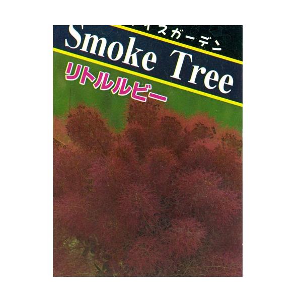 【発売日：2022年10月07日】初夏に咲く花木「スモークツリー（けむりの木）の苗木・リトルルビー」を販売しています。スモークツリーは、ヨーロッパ南部〜中国南部を原産とする落葉低木です。5〜7月に開花し、花後に伸びた花柄がスモーク(煙)の様...