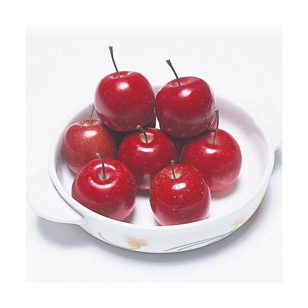 姫リンゴの「アルプス乙女」の苗木を販売。可愛らしいミニ林檎(りんご)です。30〜50g程の小さい真っ赤な果実がたくさんなります。果実は酸味と甘みのバランスも良く、見ても食べても楽しめるりんごです。また、花粉も多いので他のリンゴの受粉樹として...