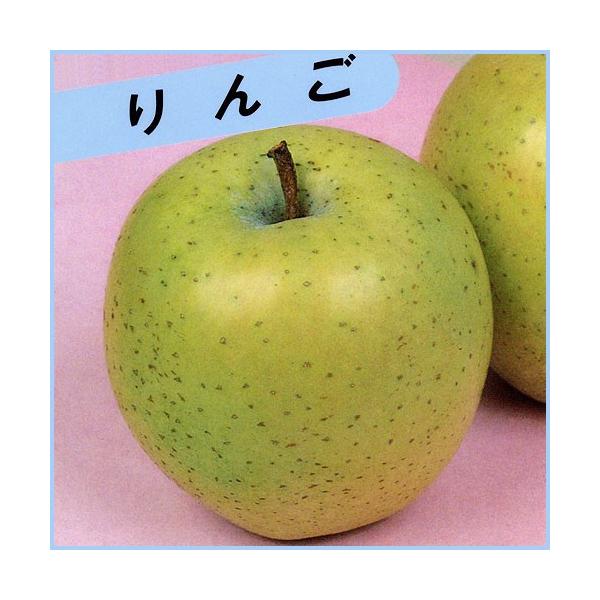 青リンゴ（林檎）の「王林　矮性」の苗木を販売。香りと風味の良い林檎（りんご）です。 栽培しやすく収穫量の多い品種で、果実は300g程で果汁が多く、実が柔らかい人気の青リンゴです。暖かい地域での栽培に適しています。矮性台木に接木された苗木で、...