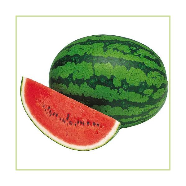 【発売日：2026年04月25日】紅まくらは、果形が枕形の大玉スイカです。果重は7〜8kg程度で秀品率が高い。食感はかためであるがシャリ感が強く、糖度は12〜13度で高く安定する。また、甘みが数字以上に強く、独特の甘い香りがあり食味がすぐれ...