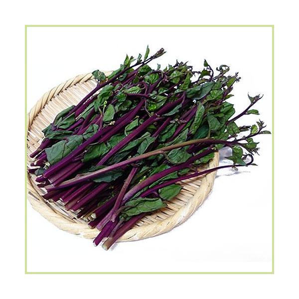 【発売日：2026年04月22日】ツルムラサキは、葉と茎を食用にします。味はホウレンソウに似ていますが、独特の粘りがあります。主に中華料理の炒め物やベトナム料理、日本ではおひたしや味噌汁に利用されます。ビタミンやミネラル等の栄養をを非常に多...