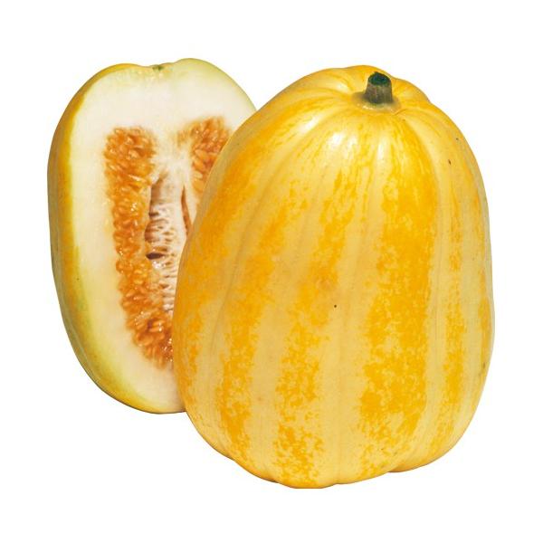 【発売日：2026年04月25日】マクワウリ「銀泉」は、菊メロンと黄マクワから育成された特徴的なマクワウリ。糖度が高く、食味に優れる。平均果重 300g※マクワウリ（真桑瓜）とはメロンの仲間で、メロンのような甘い香りと、みずみずしくシャキシ...