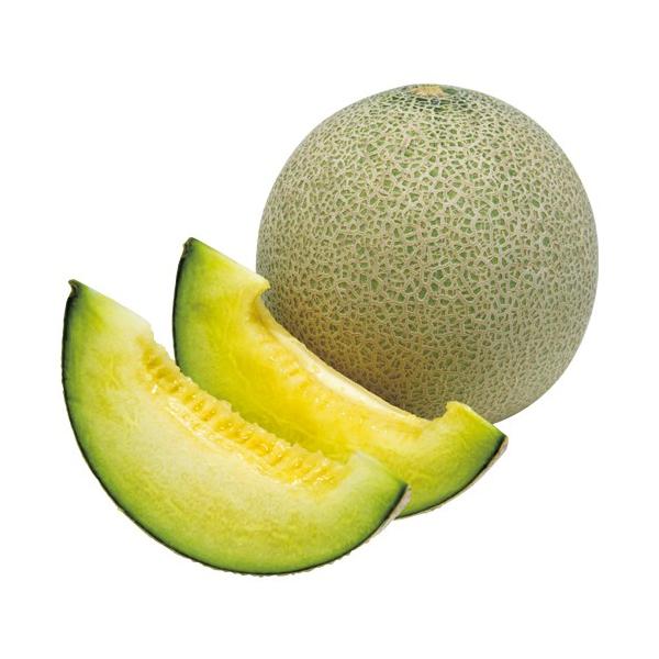 【発売日：2026年04月25日】パンナＴＦは、平均果重 1.3〜1.5kg、糖度が平均15度以上と高く、果形はよく揃い、ネットが密に安定して発生します。低温期でもつる伸びは早く、草勢が安定して太りがよい品種です。　メロンは家庭菜園やベラン...