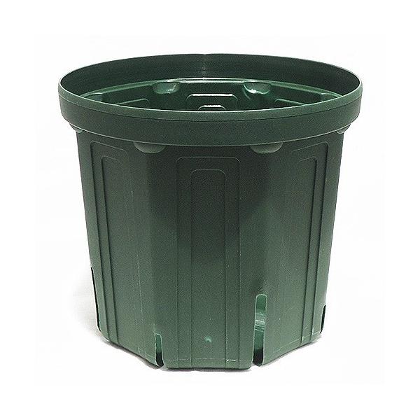 7号サイズのスリット鉢は、最も使いやすいサイズ。花苗から薔薇（バラ）まで広くご使用できます。プロの生産農家も使うスリット鉢は、スリット穴の作用により、根のサークリングを大幅に軽減し、健全で丈夫な根を作ります。また、スリット作用で水はけが良く...