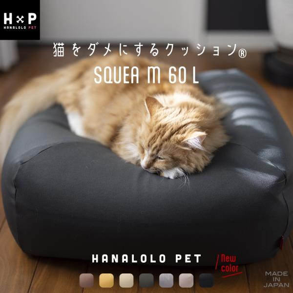 製品スペック■サイズ W60×D60×H20cm■重量 約1.7kg■材　質 カバー：ポリエステル100％中袋：ポリエステル100％中材：発泡ポリスチレン（クレアビーズ）※ラッピング可※熨斗不可■日本製お手入れ方法■本体はお洗濯不可。表面が...