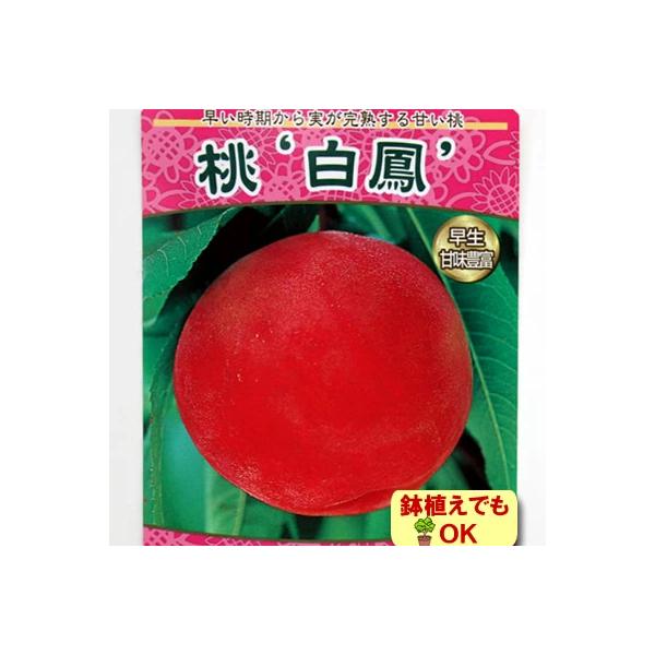 花粉が多く、生理落花が少ない品種です。果肉は白くやわらかな口当たりで、酸味は少なく上品な甘さがあります。他の品種の受粉樹としてもオススメの品種。※自家結実性があるので1本で実をつけますが、他品種がある方が実つきが良くなります。■落葉中高木■...