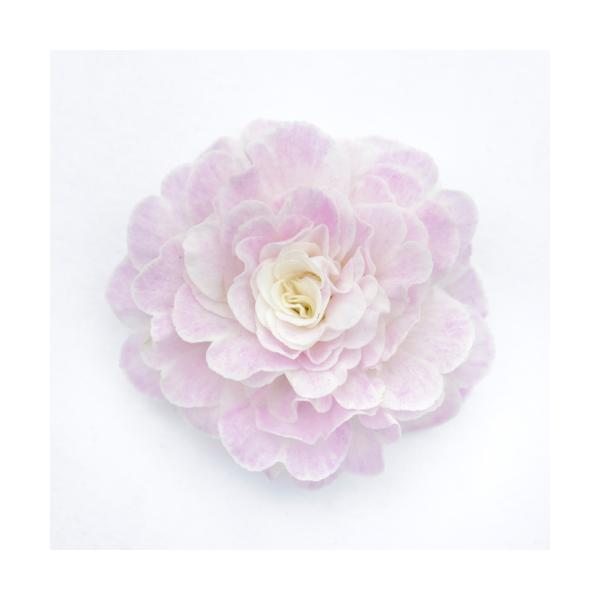 中央から外側にかけて広がる淡いイエローとピンクのグラデーションが可愛らしいプリムラです。（気候や個体差によって色が濃く出る場合などが生じます）株を覆うように咲く八重咲きの花が豪華です。耐寒性もあるので、寒冷地でなければ屋外でも育てられます。...