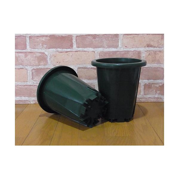 スリット鉢（とんでもないポット）は 根がぐるぐる回ることなく縦に生育するような構造となっているので、 花木や果樹を始めとしてバラやクリスマスローズ、ブルーベリー等を 長い年月健全に生育させることが出来ます。 弾力があり壊れにくい硬質ポリ素材...