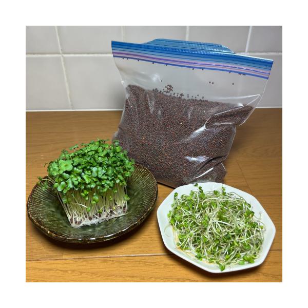 【最初にご確認下さい】本品の販売単位はgではなくmlです。1mlは1gでは有りません。まれに重さを計って300g無いと言われますが重さと体積はイコールではありません。（水は基準物なので1ｇが1mlですが物体は個別に密度が異なるので物体によっ...