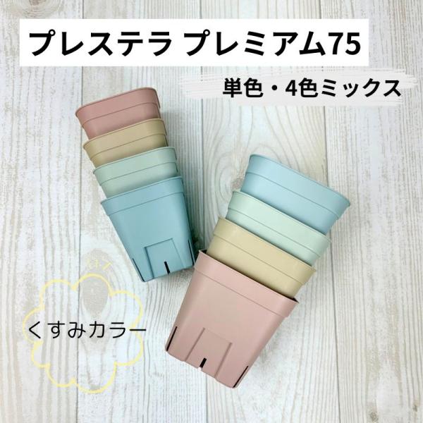 ＜特徴＞■優れた通気性＆排水性底部と側面に入ったスリット構造により、根の呼吸をしっかりサポート。根腐れを防ぎ、健全な発根を促進します。■しっかり自立・高耐久硬質プラスチック製で型崩れしにくく、繰り返し使用可能。長期間の育苗・管理にも最適です...