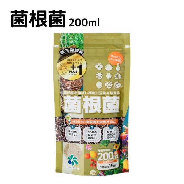 《商品説明》菌根菌は「カビ」や「キノコ」の一種で、土壌の中で菌糸を伸ばし植物の根の内外で共生する微生物です。菌糸が根の届かないところまで伸び、水や養分を吸収して植物の根に与えます。植物は光合成で生じた糖分を菌に与え、お互いに助け合いながら共...