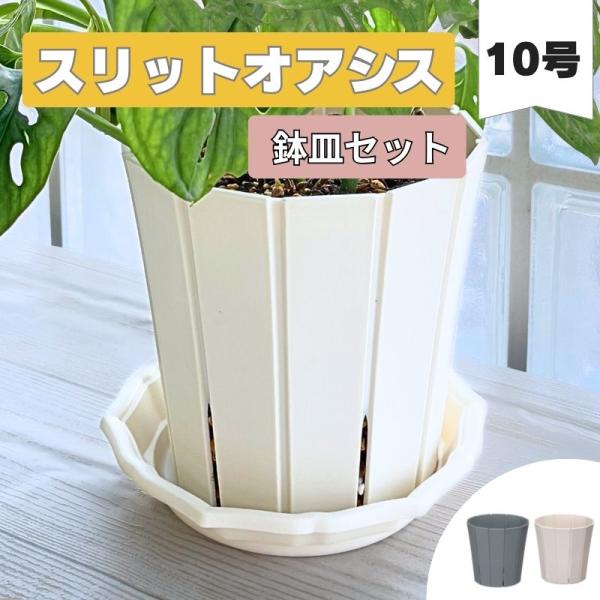 ＜特徴＞スリット穴が目立ちにくい、一体感のある縦ラインが特徴。根の育成環境を整えて、そのままインテリアに飾れる「デザインスリット鉢」です。陶器鉢のような手触りと、シンプルで安定感のある寸胴型のフォルムで観葉植物などをすっきり清潔に飾れます。...