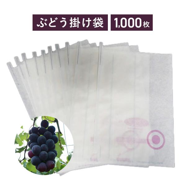 【詳細】確認窓から袋の内側を見ることができ、袋を破ることなく果実を確認可能です。結束針金が付いているので装着も簡単です。【使用方法】幼果が色付き始めた頃に袋掛けを行います。雨上がり直後を避けて、晴れた日の日中に行って下さい。結束針金を果軸に...