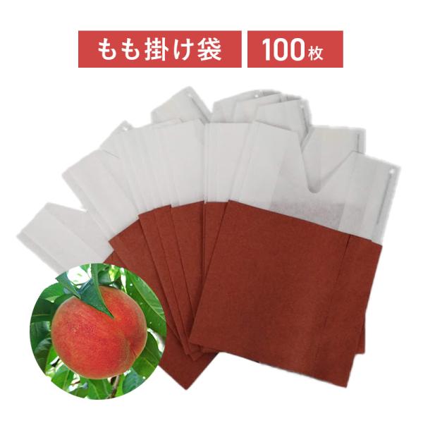 【詳細】 撥水加工された二重袋になっていて、病害虫を防ぎ、外袋を外すことによって着色（色付き）を促進できます。結束針金が付いているので装着も簡単です。桃の肥大期〜収穫期に欠かせない商品です。【使用方法】 ピンポン球より大きくなった頃に、果実...