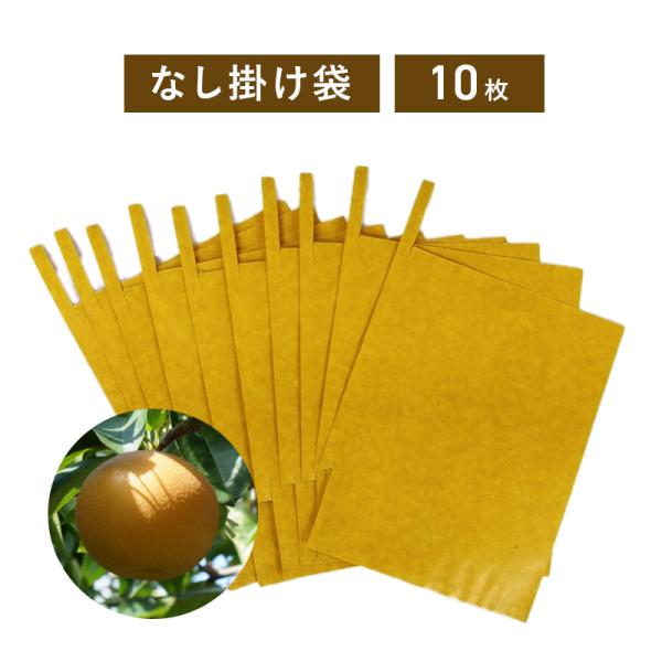 【詳細】幸水、豊水などの赤梨の育成に向いた掛け袋です。枝こすれや、鳥、病害虫を防ぎます。外側の袋を外して着色を促進することができます。結束針金が付いているので装着も簡単です。【使用方法】開花終了してから50日頃を目安に袋掛けを行います。雨上...