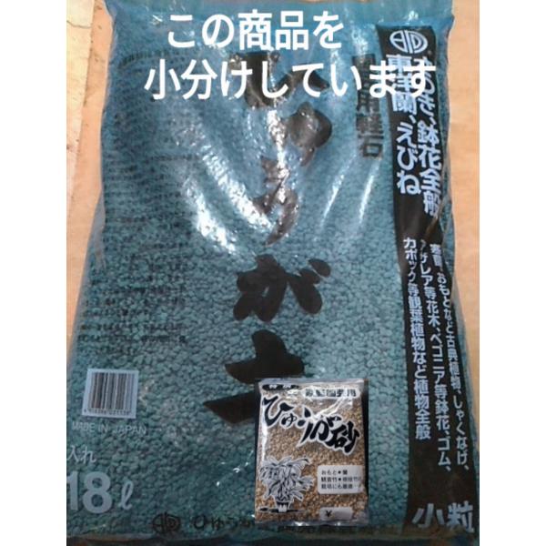 宮崎県南部で産出する水に沈む軽石です。水を含みやすくするため８０％の乾燥にしていますので、鉢の底石に最適です。写真の日向土１８L（ひゅうが土販売株式会社製）を小分けしています　それぞれの石の大きさは、写真を参考にしてください。＊＊送料は次の...