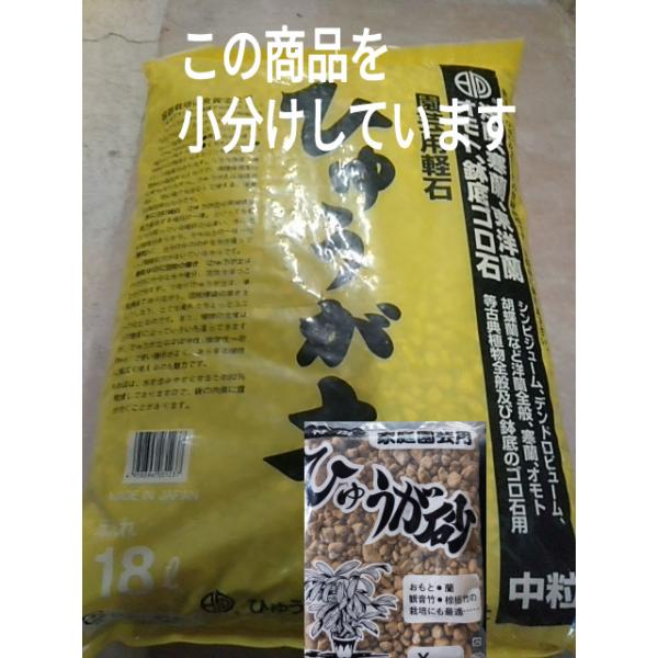 宮崎県南部で産出する水に沈む軽石です。水を含みやすくするため８０％の乾燥にしていますので、鉢の底石に最適です。写真の日向土１８L（ひゅうが土販売株式会社製）を小分けしています　それぞれの石の大きさは、写真を参考にしてください。＊＊送料は次の...