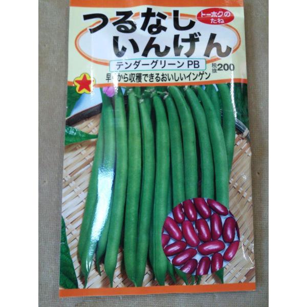 つるなしいんげん　テンダーグリーンＰＢタネまき後約５０日で１３ｃｍ位のスジなしで濃緑丸莢が収穫できる極早生種　第４種郵便で、送料７３円です。　●地域別の蒔き時を３枚目以降の画像で必ず確認して下さい。「確認事項」の「標準的栽培事例の画像を確か...