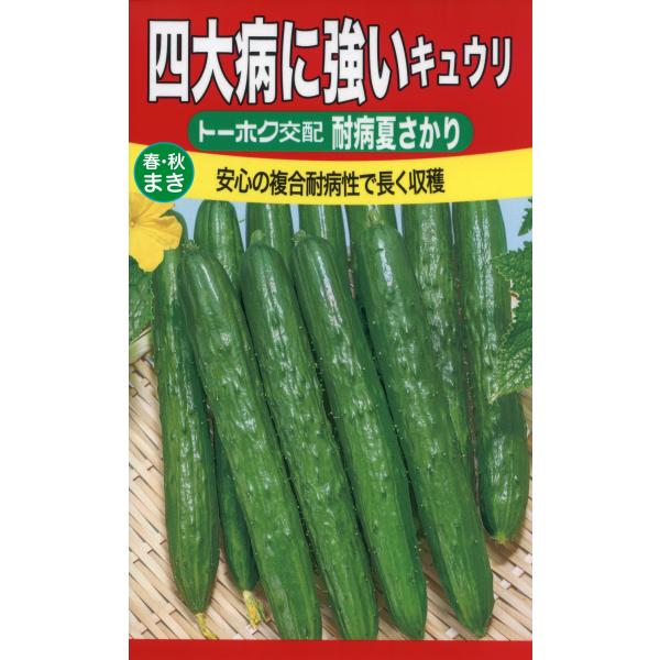 ウイルス病 うどんこ病 べと病 褐斑病のキュウリ四大病害に対して複合的に高い耐病性を持っています。果実は濃緑色で、暑さにも強いので作りやすく、枯れ上りが遅いのでおいしいキュウリを長期間楽しめます。支柱作り、地這作り両方に向きます。　●地域別...