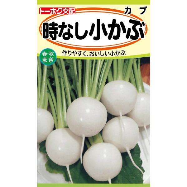 病気に強く作りやすく、まき時の長い小カブ。葉の痛みも少なく、きれいでおいしい●地域別の蒔き時を２枚目以降の画像で必ず確認して下さい。「確認事項」の「標準的栽培事例の画像を確かめて」の「はい」を選んで進んで下さい　当店では、温室等に育て方もあ...