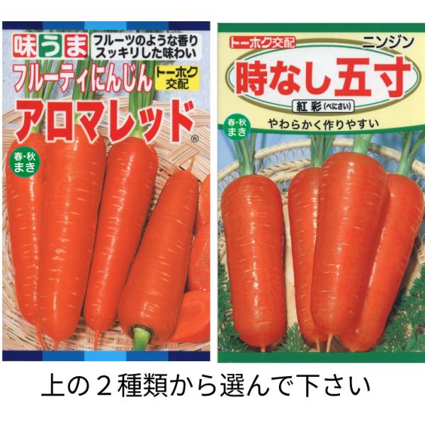 ＊アロマレッド〓　人参が苦手な子供にも食べてもらいたい品種です。香水にもなる「ブルガリアンローズ」の香り成分のひとつ、β-ダマセノン含有量が従来品種に比べて多く、クセがなくフルーティな味わいが特長です。(東洋大学下村講一郎名誉教授との共同開...