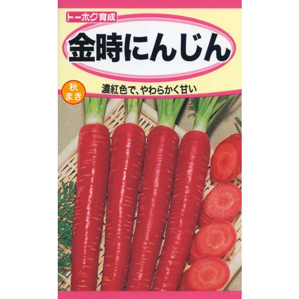 ＊金時人参正月のおせちには欠かせない独特の赤色の長ニンジン。肉質やわらかく甘みがあり、風味が優れます。旺盛な生育で作りやすく、紅色の色づき早く、芯までしっかりと着色します。  第４種郵便で４袋まで、送料７３円です。　●地域別の蒔き時を２枚目...