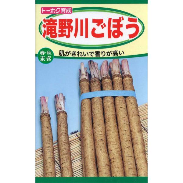 滝野川ごぼう肌が綺麗で香りが高いゴボウの代表種の「滝野川」から選抜改良した、香り高く肉質のしまった優良品種です。細身ですが地際から尻部まで同じ太さで良く揃い、肌のきれいな長めのゴボウです。  第４種郵便で４袋まで、送料７３円です。●地域別の...