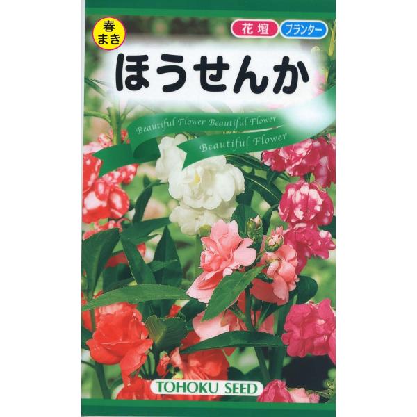ほうせんか生育早く育てやすい植物です。赤・桃・白などのカラフルな花色の混合で、熟した果実に軽く触れただけで種子をはじき飛ばす楽しい花です。●地域別の蒔き時を２枚目以降の画像で必ず確認して下さい。「標準的栽培事例の画像を確かめて」の「はい」を...