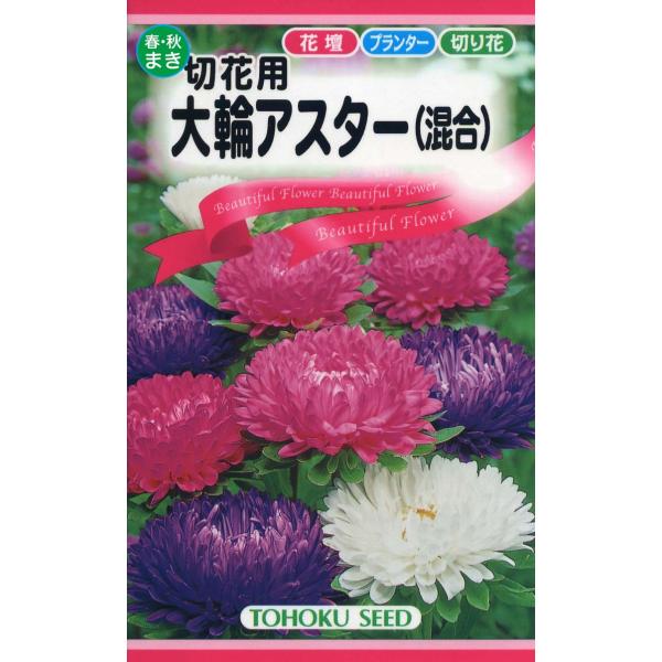切花用 大輪アスター（混合）優雅な菊咲きの大輪花です。分枝性も強いので育てやすく、多くの花を楽しめます。切り花として日持ちも良く、夏の供花として優れています。●地域別の蒔き時を２枚目以降の画像で必ず確認して下さい。「確認事項」の「標準的栽培...