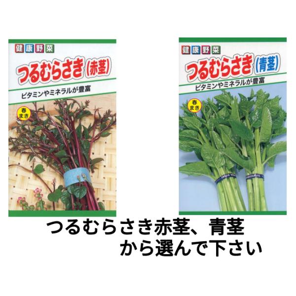 【発売日：2025年07月31日】赤茎 　暑さに強く、栽培容易。ビタミン、カルシウム、鉄分などを豊富に含む　ヌメリがあり、湯通しして利用します。　つるが3〜4mにも伸び日除けとしても利用できます。青茎　暑さに強く、つる先を摘み取り利用します...