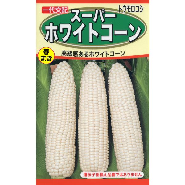 スーパーホワイトコーン極めて甘くやわらかい純白種。茹でた後の変色もなく、すっきりとした食感の高級感ある品種。熟期は85日で約400g以上になり、先端までしっかりと詰まった秀品が期待できます。　第４種郵便で２袋まで、送料７３円です。　●地域別...