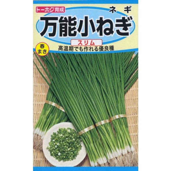 万能小ねぎ　スリム耐暑性、耐病性あり、生育旺盛で夏場に向けた栽培に向く薬味用小ネギ品種 第4種郵便で４袋まで、送料７３円です。＊発芽温度15〜25℃　生育温度15〜25℃　●地域別の蒔き時を２枚目以降の画像で必ず確認して下さい。「標準的栽培...