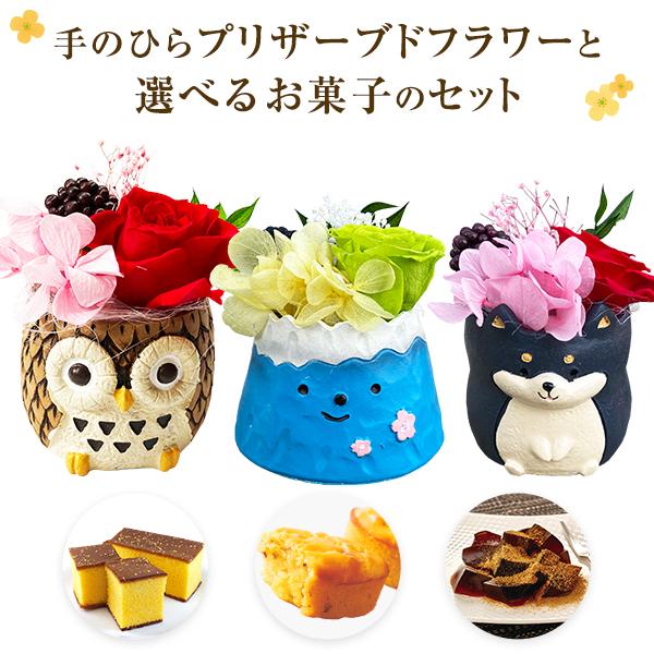 ●商品内容10種類のプリザーブドフラワーアレンジのうち1種のお花(ケース入)、3種類のお菓子のうち1種のお菓子、お手入れのしおり●商品サイズお花：約高さ6.5cm×幅5cmケース：約縦8cm×横8cm×高さ10.5cm●お届け日についてご注...