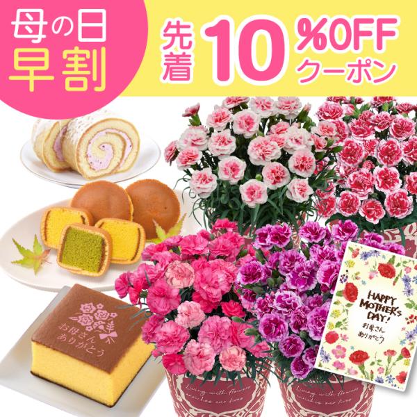 商品内容4種類の鉢花のうち1種、3種類から選べるお菓子、母の日メッセージ入りお手入れガイド選べる品種いちごホイップ、オルフィカ、さくらフロマージュ、さくらもなか※つぼみ又は、つぼみを含んだ状態でお届けいたします。※母の日メッセージ入りお手入...