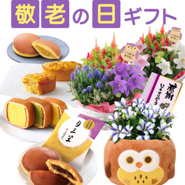 ●商品内容3種類の鉢花うち1種のお花、4種類のお菓子のうち1種のお菓子、ふくろうピック、敬老の日メッセージ入りお手入れガイド※育て方のしおりは、リンドウ・桔梗・ケイトウ・におい桜・アザレア・カランコエ・ダリア・金柑・ガーベラ・アレンジメント...