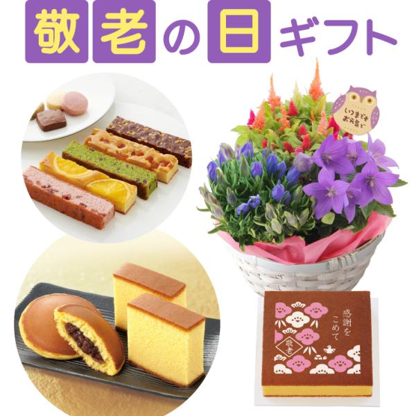 ●商品内容秋の3種寄せかご(リンドウ、桔梗、ケイトウ、各3.5号ポット)、3種類のグルメのうち1種のグルメ、敬老の日ピック、敬老の日メッセージ入りお手入れガイド※育て方のしおりは、リンドウ・桔梗・ケイトウ・におい桜・アザレア・カランコエ・ダ...