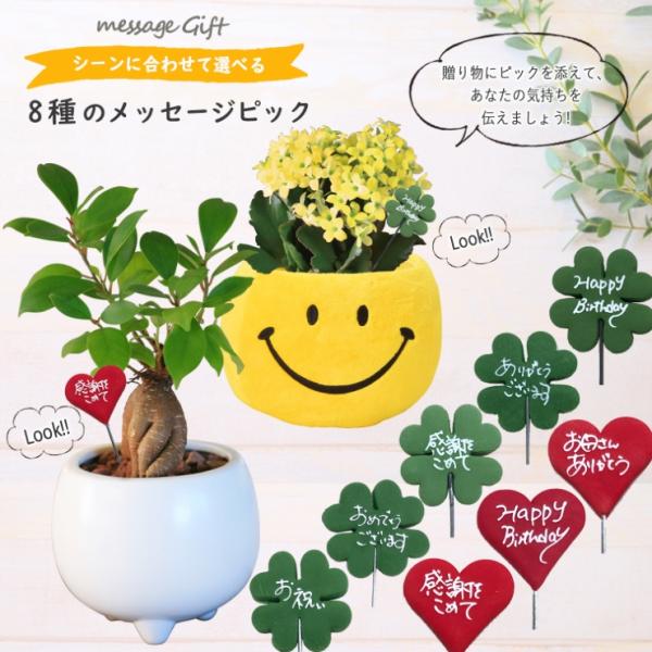 ・商品内容メッセージピック・商品サイズ幅：約3cm、長さ：約10cm、厚み：約0.5cm・お届けについてセット品に同梱してお届けいたします。・その他注意事項観葉植物などの商品とセットでご購入ください単品購入の場合、別途送料150円を加算いた...