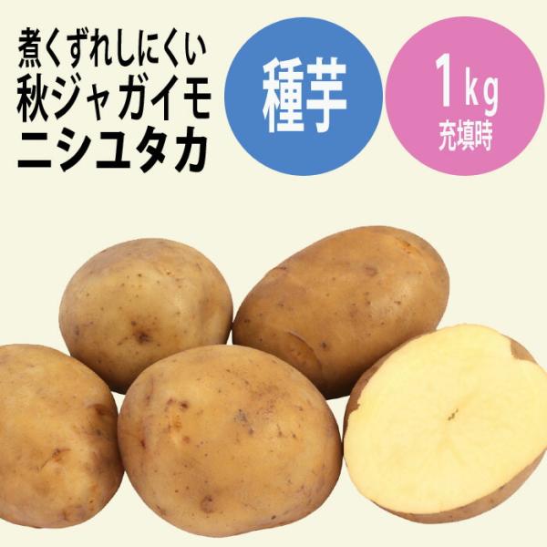 【こちらはご予約商品です】【発送時期の異なる商品とは同梱できません】発送時期が異なる商品を同時注文される場合、別送となるため追加で送料が発生します。発送時期については商品名・配送予定欄にてご確認いただくか、事前に同梱可能かお問合せください。...