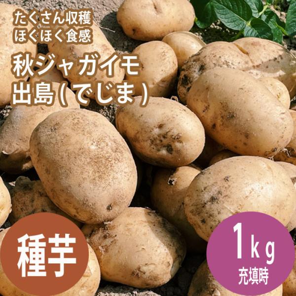 【こちらはご予約商品です】【発送時期の異なる商品とは同梱できません】発送時期が異なる商品を同時注文される場合、別送となるため追加で送料が発生します。発送時期については商品名・配送予定欄にてご確認いただくか、事前に同梱可能かお問合せください。...