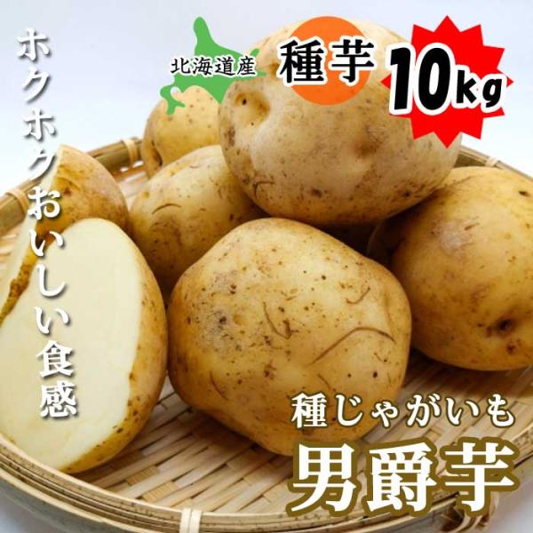【発送時期の異なる商品とは同梱できません】発送時期が異なる商品を同時注文される場合、別送となるため追加で送料が発生します！発送時期については商品名・配送予定欄にてご確認いただくか、事前に同梱可能かお問合せください。※写真はイメージです。植物...