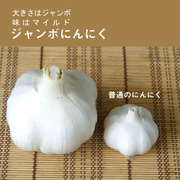 【こちらはご予約商品です】【発送時期の異なる商品とは同梱できません】発送時期が異なる商品を同時注文される場合、別送となるため追加で送料が発生します！発送時期については商品名・配送予定欄にてご確認いただくか、事前に同梱可能かお問合せください。...