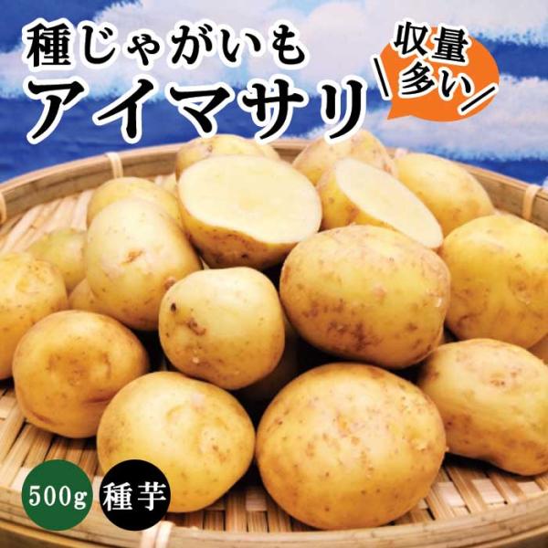 【こちらはご予約商品です】【発送時期の異なる商品とは同梱できません】発送時期が異なる商品を同時注文される場合、別送となるため追加で送料が発生します。発送時期については商品名・配送予定欄にてご確認いただくか、事前に同梱可能かお問合せください。...