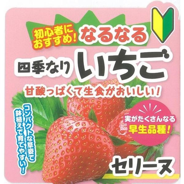 【発売日：2020年10月13日】【発送時期の異なる商品とは同梱できません】発送時期が異なる商品を同時注文される場合、別送となるため追加で送料が発生します！発送時期については商品名・配送予定欄にてご確認いただくか、事前に同梱可能かお問合せく...
