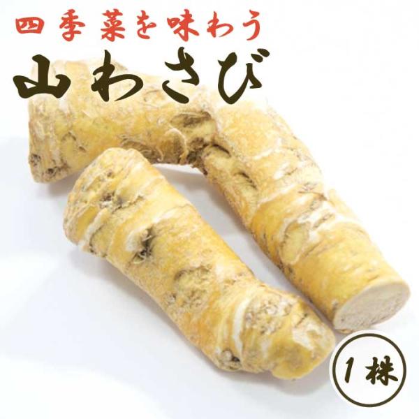 【こちらはご予約商品です】【発送時期の異なる商品とは同梱できません】発送時期が異なる商品を同時注文される場合、別送となるため追加で送料が発生します！発送時期については商品名・配送予定欄にてご確認いただくか、事前に同梱可能かお問合せください。...
