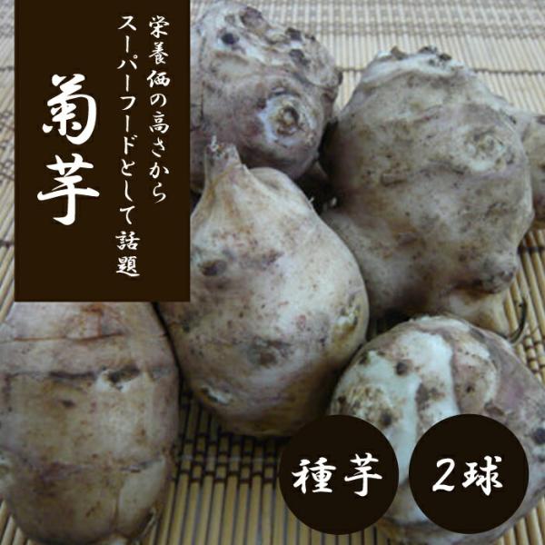 【こちらはご予約商品です】【発送時期の異なる商品とは同梱できません】発送時期が異なる商品を同時注文される場合、別送となるため追加で送料が発生します！発送時期については商品名・配送予定欄にてご確認いただくか、事前に同梱可能かお問合せください。...