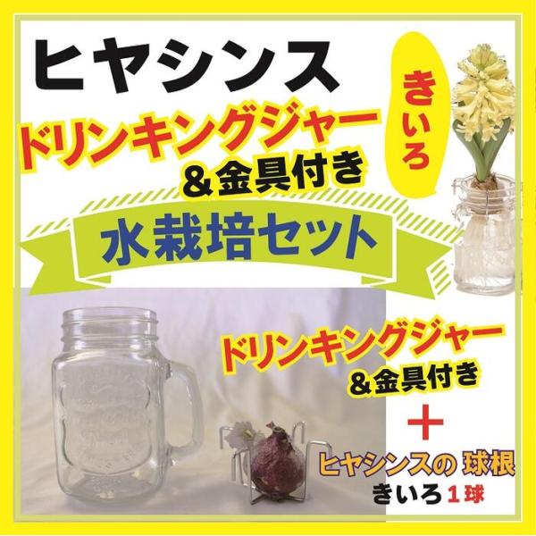【発送時期の異なる商品とは同梱できません】発送時期が異なる商品を同時注文される場合、別送となるため追加で送料が発生します！発送時期については商品名・配送予定欄にてご確認いただくか、事前に同梱可能かお問合せください。※写真はイメージです。植物...