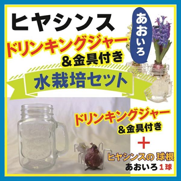 【発送時期の異なる商品とは同梱できません】発送時期が異なる商品を同時注文される場合、別送となるため追加で送料が発生します！発送時期については商品名・配送予定欄にてご確認いただくか、事前に同梱可能かお問合せください。※写真はイメージです。植物...