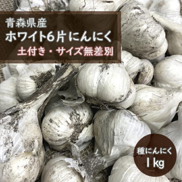 【こちらはご予約商品です】【発送時期の異なる商品とは同梱できません】発送時期が異なる商品を同時注文される場合、別送となるため追加で送料が発生します！発送時期については商品名・配送予定欄にてご確認いただくか、事前に同梱可能かお問合せください。...